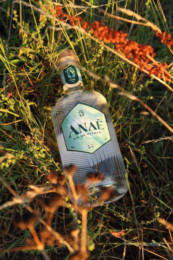 Gin Lane : le gin français trace sa route au WLP - Whisky Mag